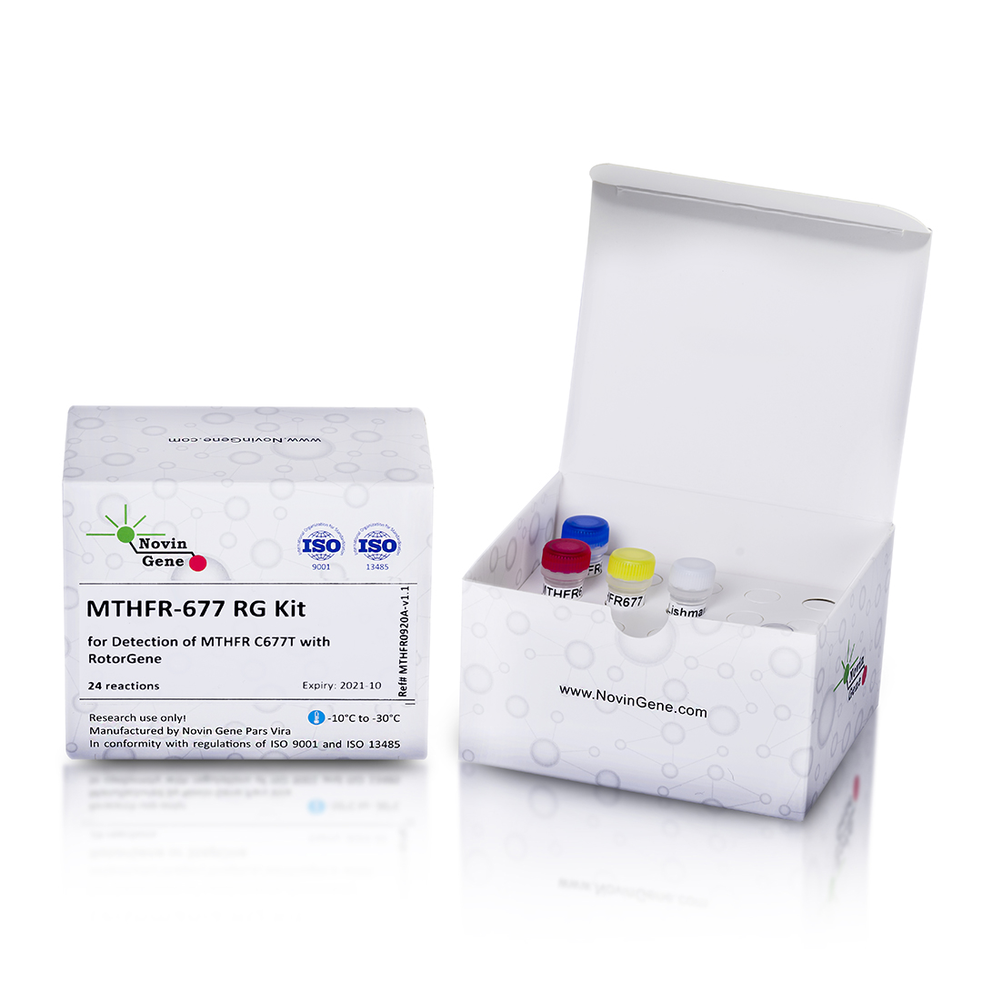 MTHFR C677T Mutation Detection kit (RG) (P 3_5) * Novingene