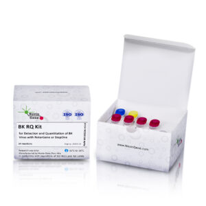 BK Virus Detection and Quantitation kit (P 1_10) * Novingene
