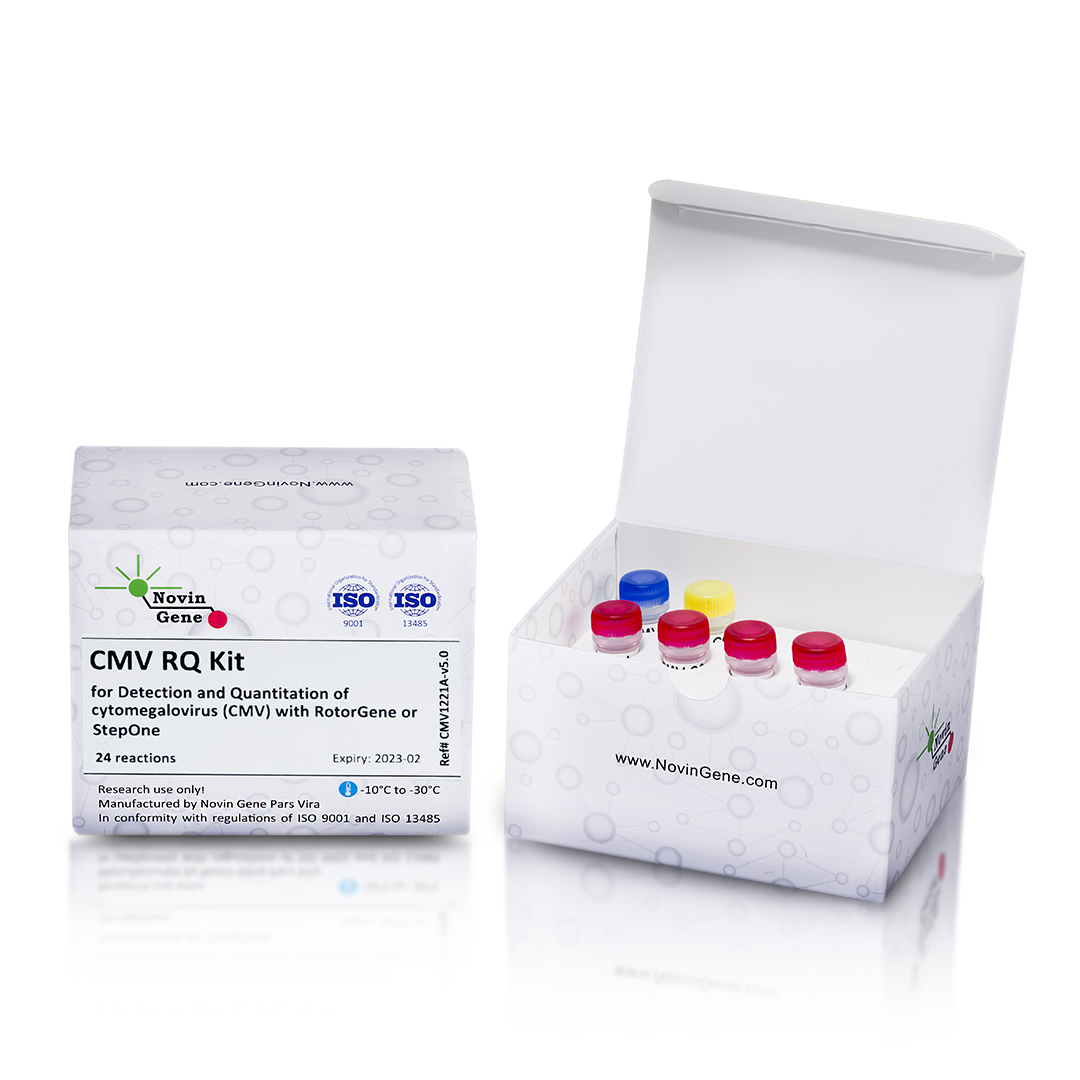 CMV Detection and Quantitation kit (P 1_6) * Novingene