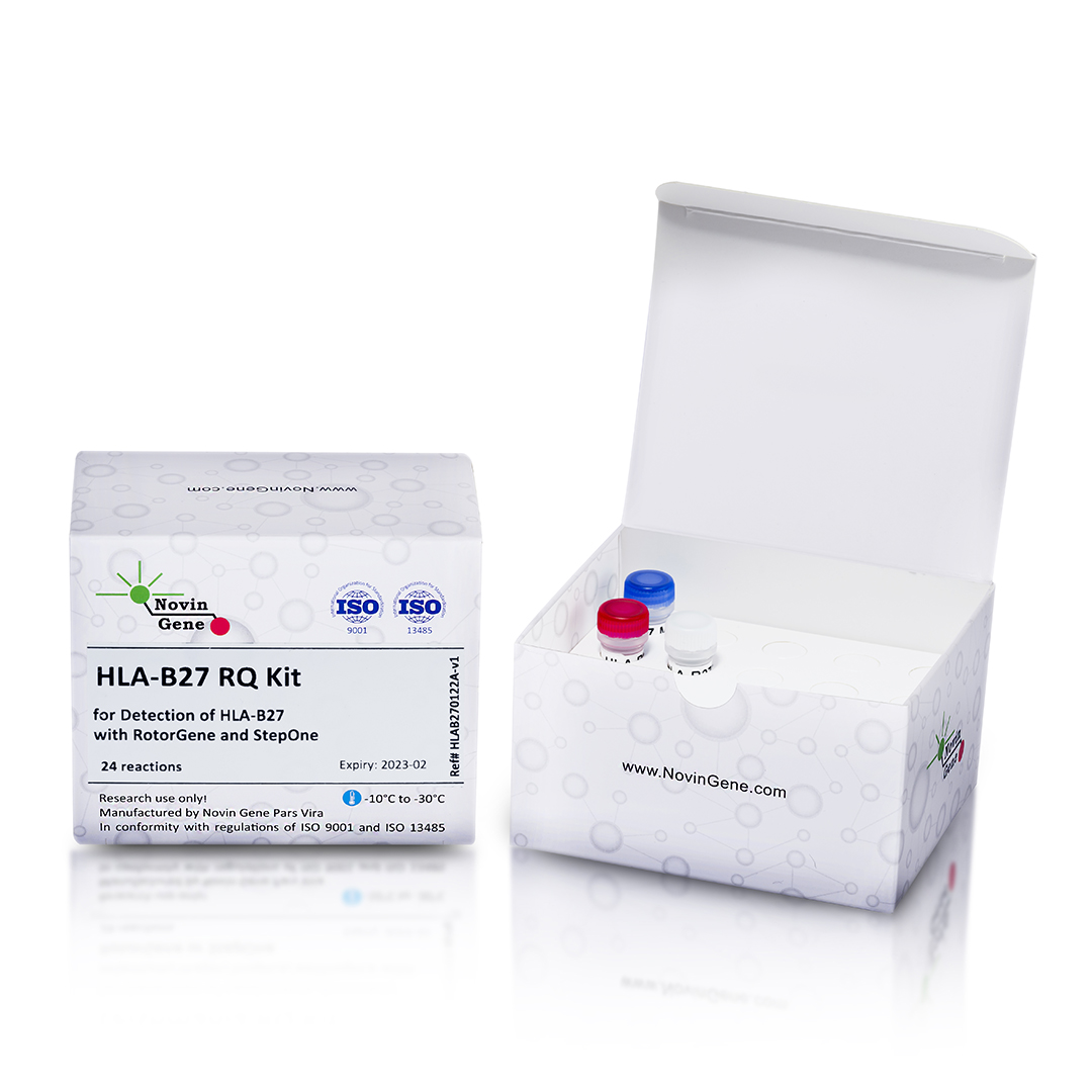 HLA-B27 Detection Kit (P 3_11) * Novingene