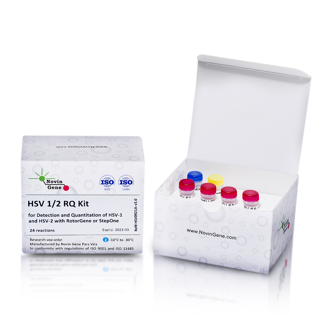 HSV 1 and 2 Detection and Quantitation kit (P 1_7) – Novingene