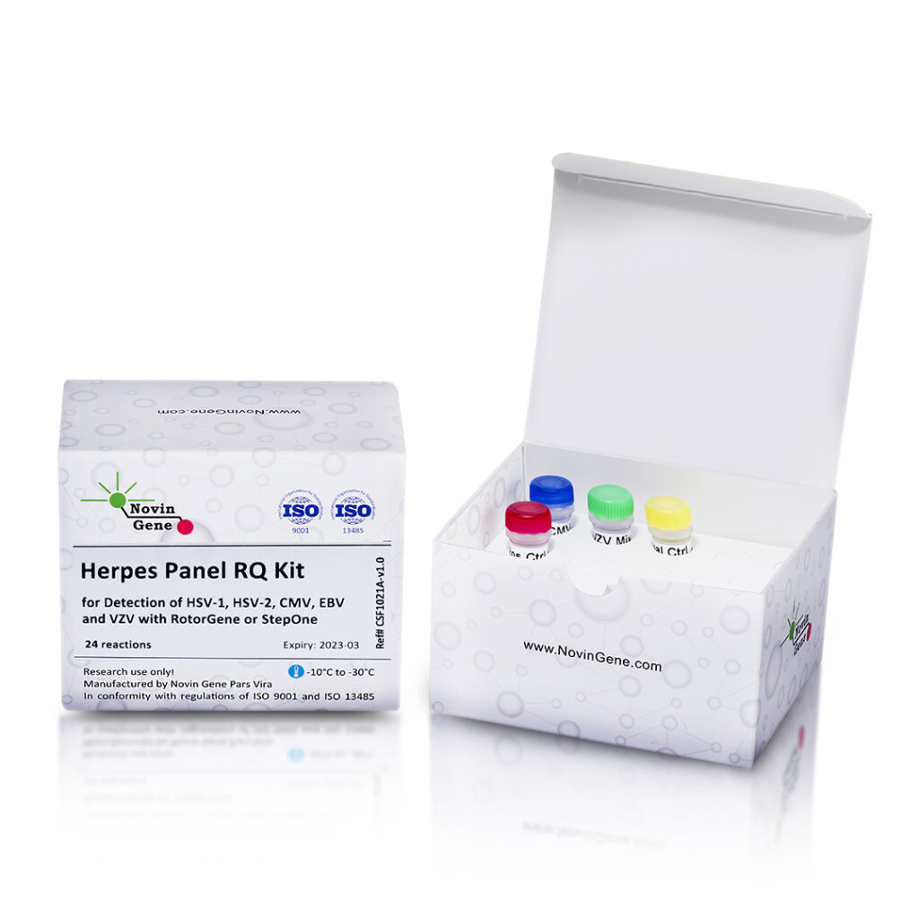 Herpes Detection Kit (CMV/EBV/HSV-1/HSV-2/VZV) (P 1-17) – Novingene