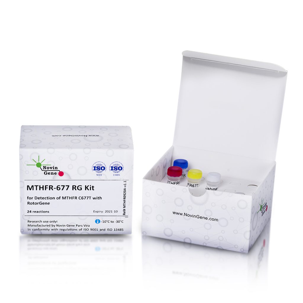 MTHFR C677T Mutation Detection kit (RG) (P 3_5) – Novingene