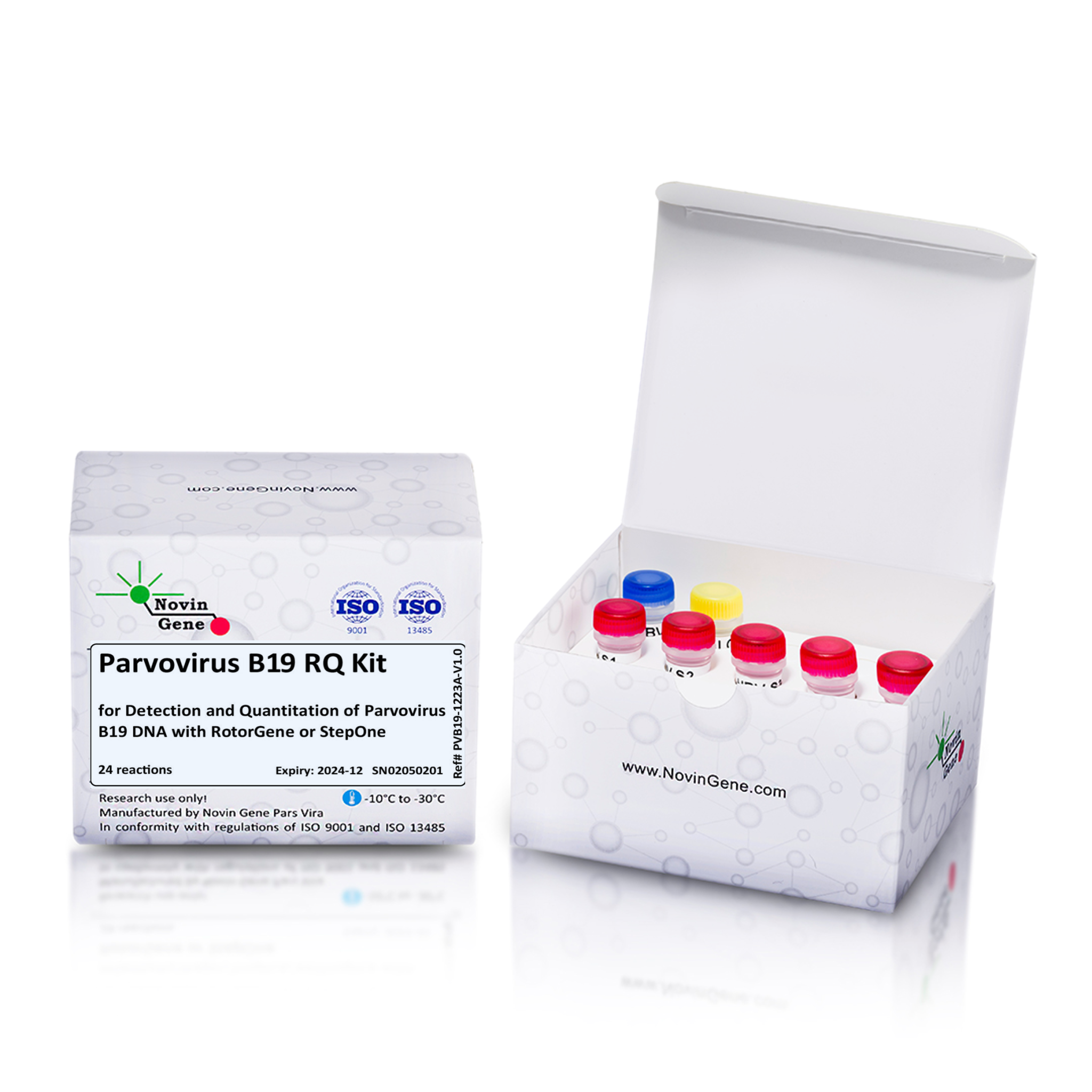 Parvovirus B19 Detection and Quantitation Kit * Novingene